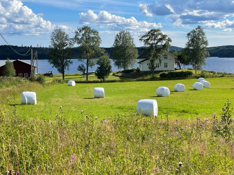 Betaler ut over 18,3 milliarder kroner til norske bønder - Landbruksdirektoratet